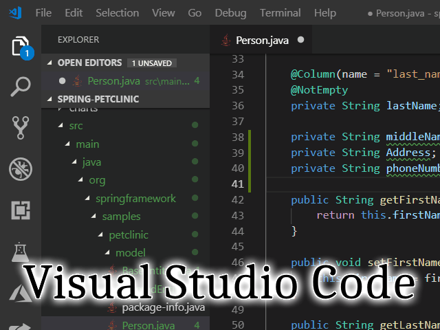 Microsoft、「Visual Studio Code」向けJava拡張機能の「May 2020」アップデートをリリース：パッケージ名のリ ...