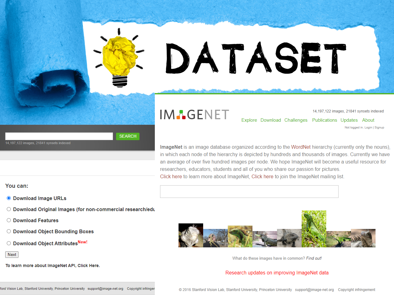 ImageNet：大規模なカラー写真の画像データベース：AI・機械学習のデータセット辞典 - ＠IT
