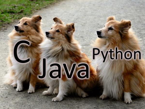 人気ランキング「TIOBEインデックス」で「Objective-C」が20位圏外に：Javaにわずかな差で迫るPython - ＠IT