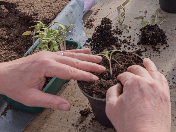 「Windows 11 on ARM」の新ABIをMicrosoftが発表、既存アプリの移植が容易に：ARM64ECコードとx64コードを混在 ...