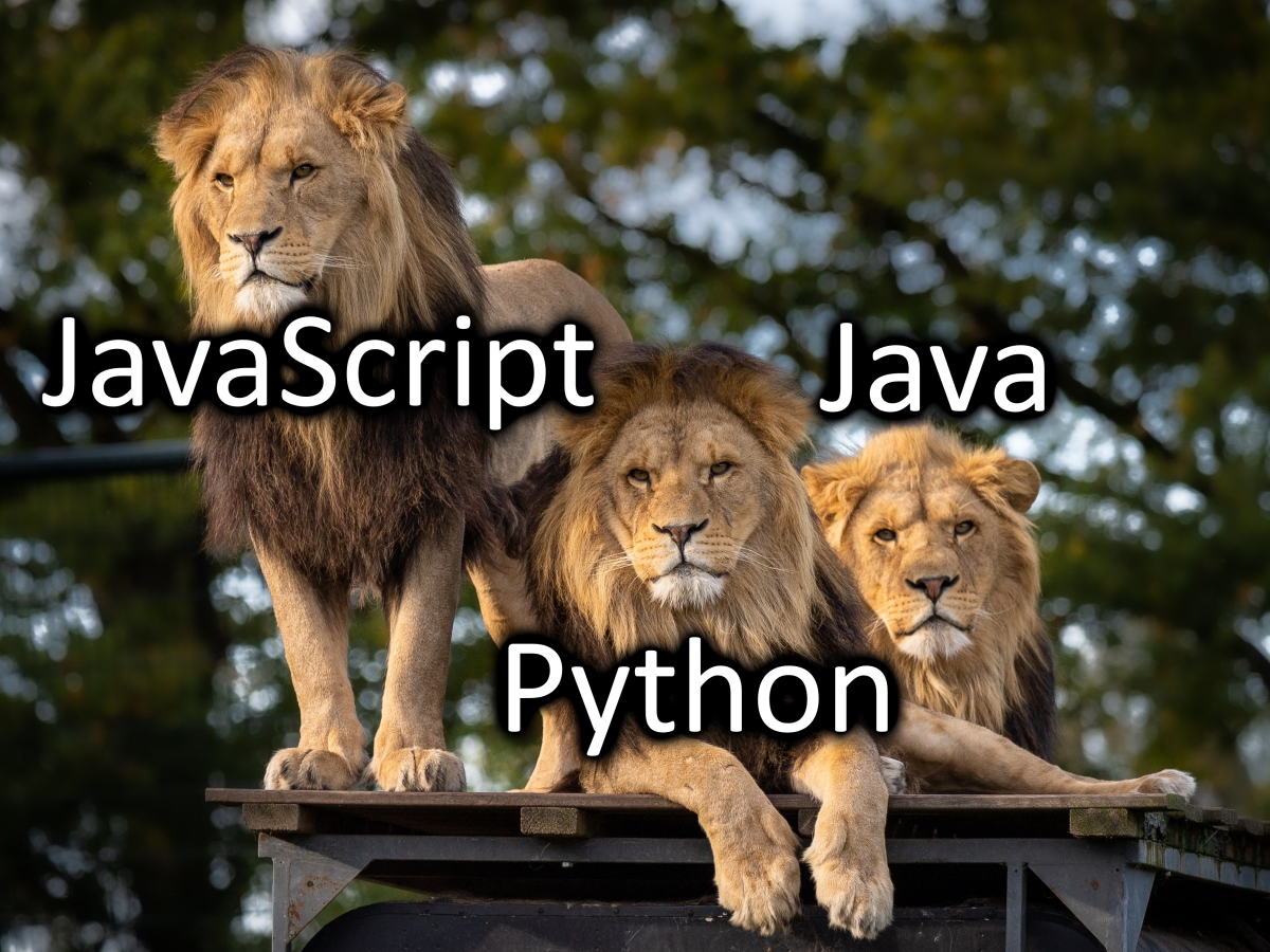 プログラミング言語の人気ランキング、首位はJavaScript、RedMonk調べ：Dartが初の20位入り - ＠IT