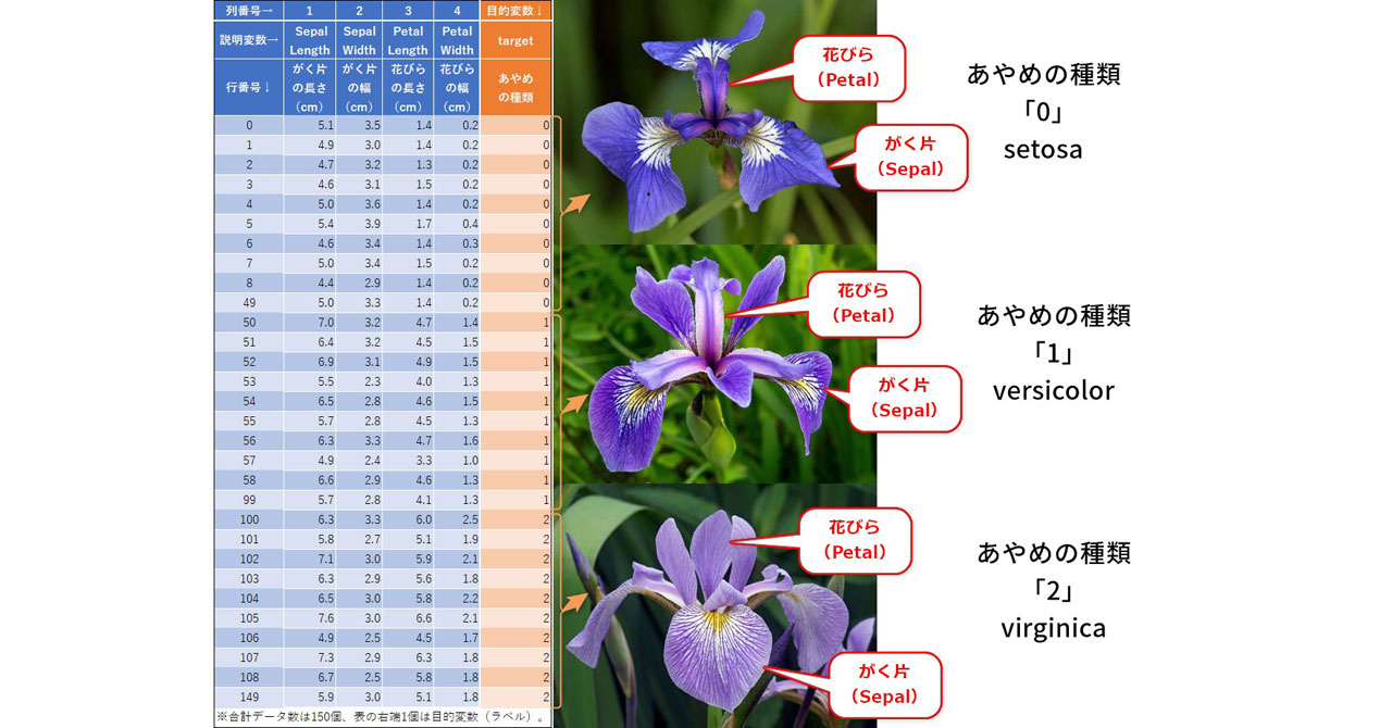 Iris Dataset：あやめ（花びら／がく片の長さと幅の4項目）の表形式データセット：AI・機械学習のデータセット辞典 - ＠IT