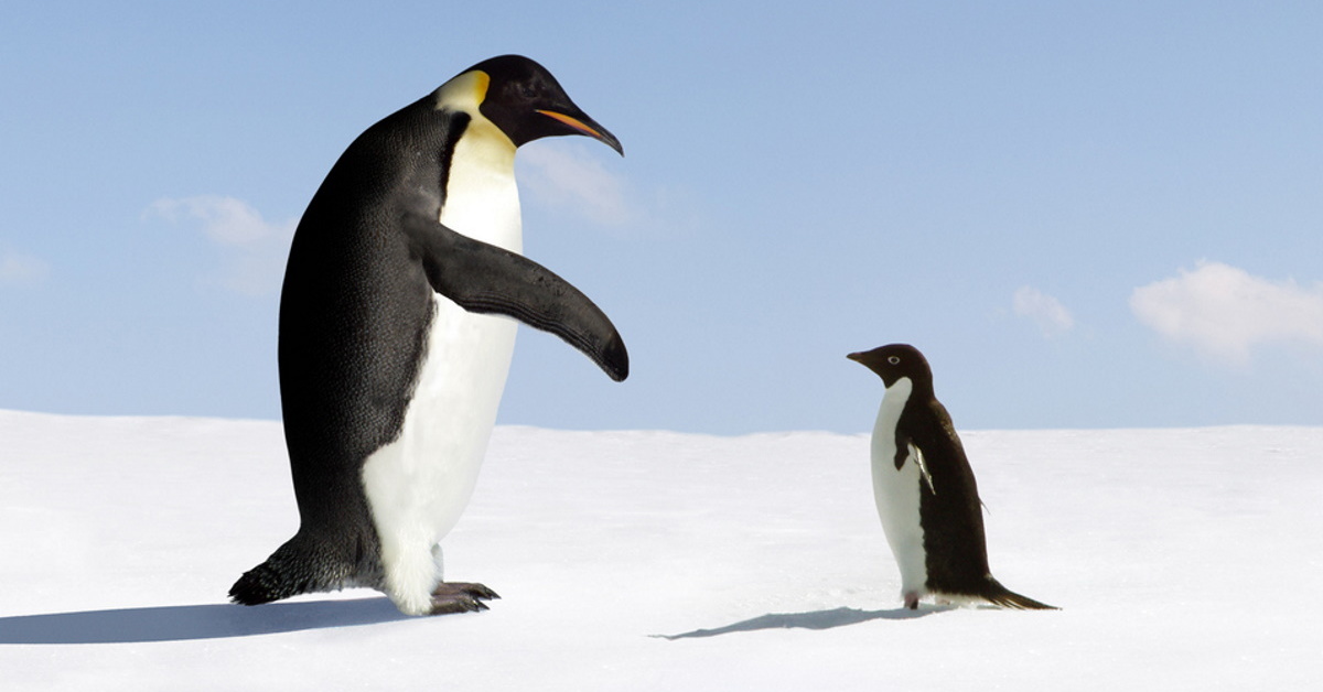 「RHEL 9」互換、無償の「MIRACLE LINUX 9」提供開始 CentOS移行支援も提供：サポートは2032年までの10年間 - ＠IT