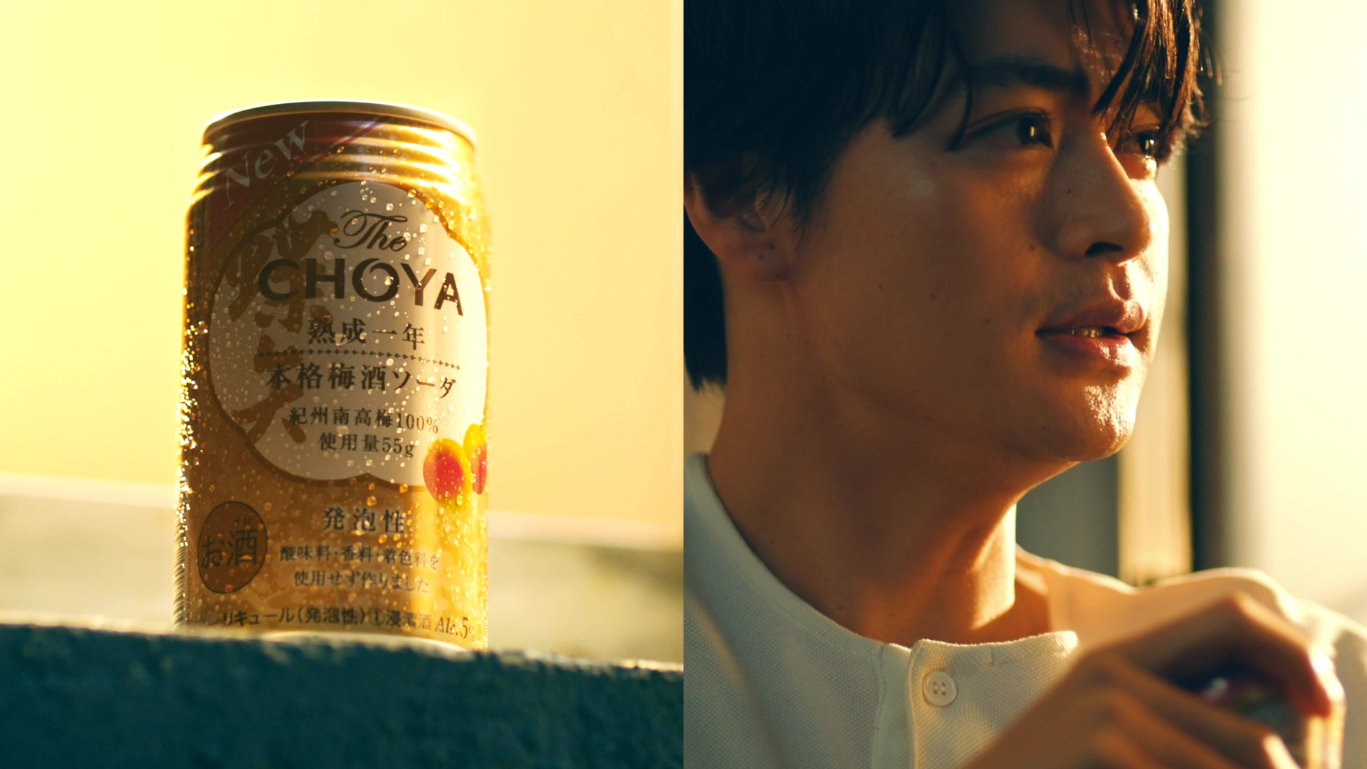 「The CHOYA 熟成一年本格梅酒ソーダ」、全国販売へ：瀬戸康史を起用 - ITmedia ビジネスオンライン