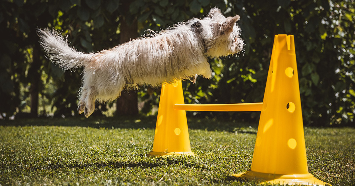 銀行のモダナイゼーションを阻む「最大のハードル」は？ 調査で判明：CIO Dive - ITmedia エンタープライズ