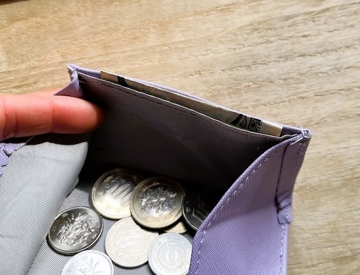 3COINSの「極薄ミニ財布」が550円で上品見え 財布はこれ1つで良いかも！ 実際に使ってみた（1/2 ページ） - Fav-Log by ITmedia