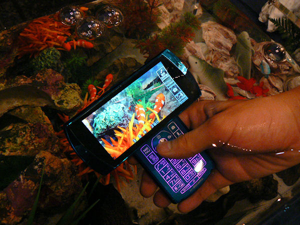 写真で解説する「F-06B」（外観編） - ITmedia Mobile