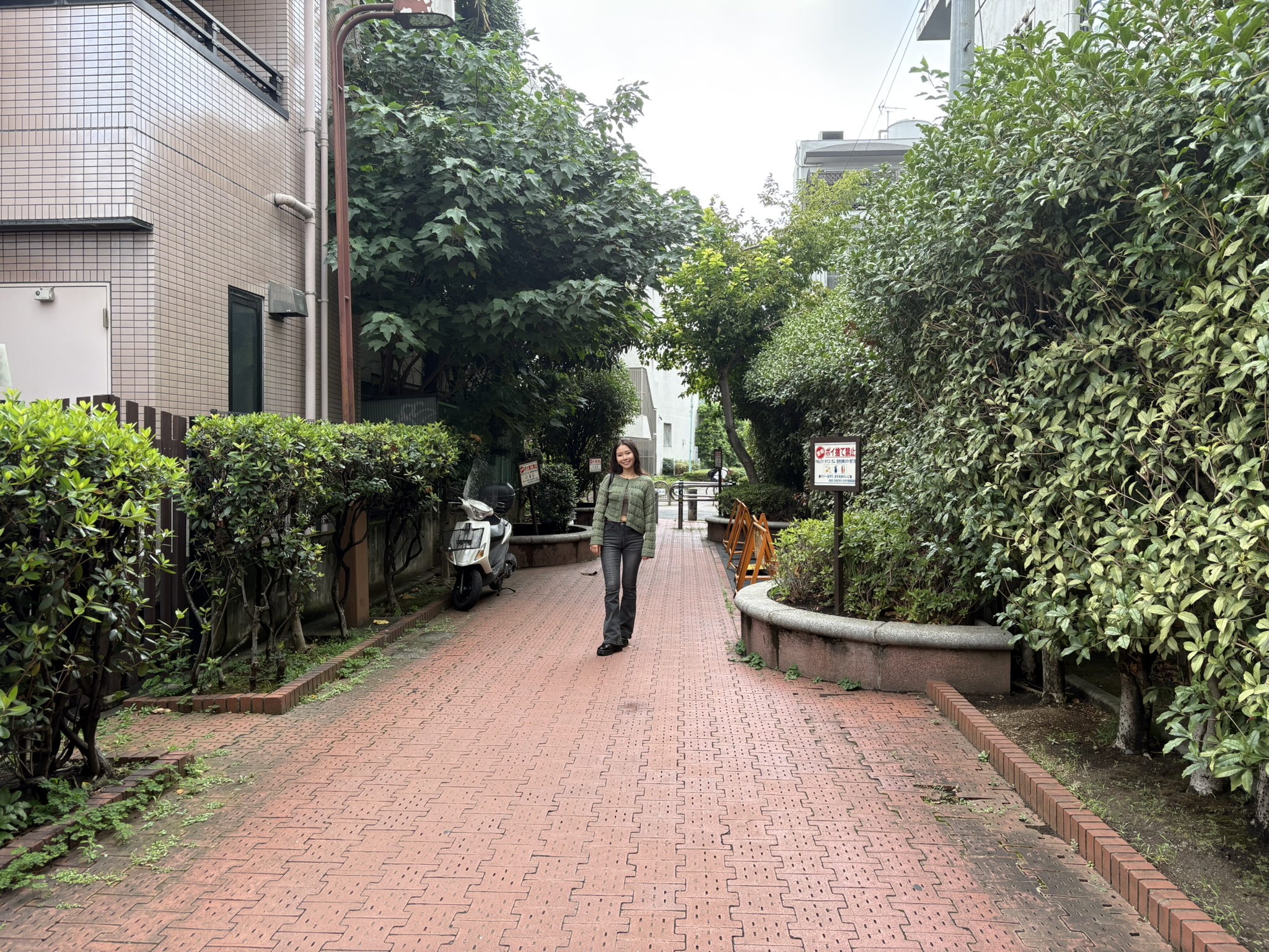 「iPhone 16／16 Pro」に触れて実感した進化 16／16 Plusの性能底上げで“間違いない選択肢”に (l_st52693 ...