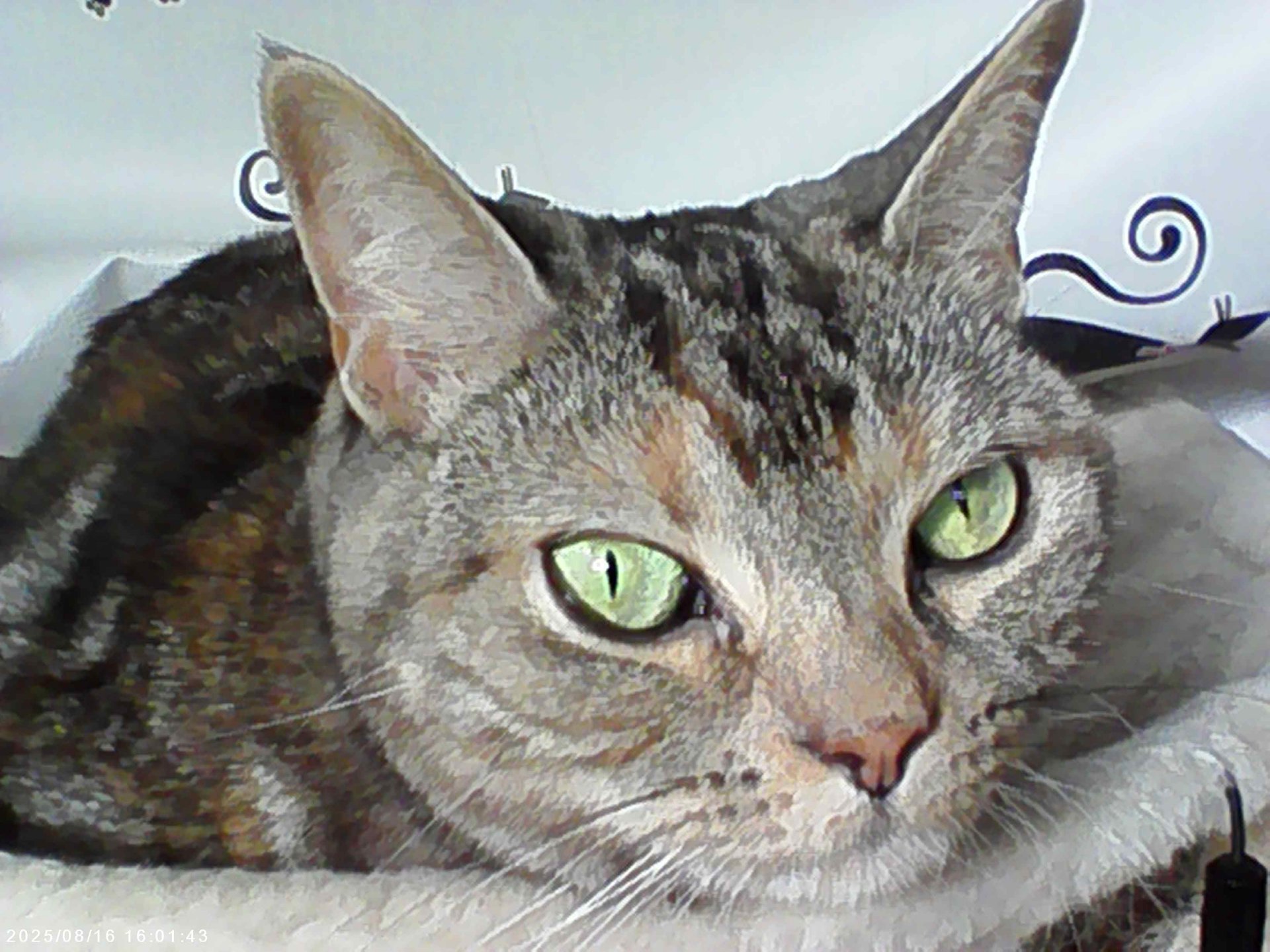 3COINSで2750円の「ミニトイカメラ」、ノスタルジックに浸るのにちょうどいい写り 在庫復活の今が入手チャンス (l_mw_3co_05 ...