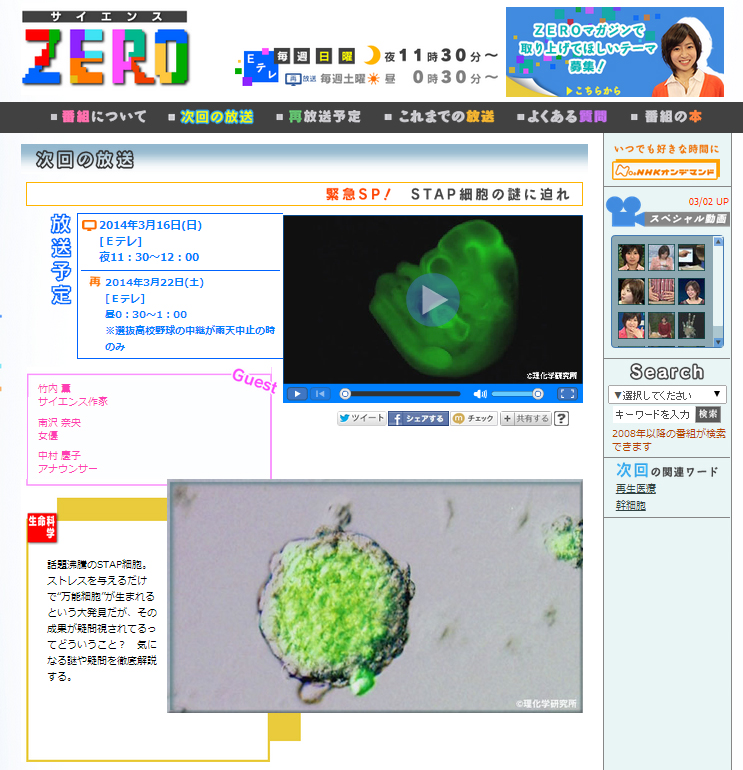 NHK Eテレ「サイエンスZERO」でSTAP細胞特集 「謎や疑問を徹底解説」 - ITmedia NEWS