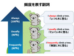 「often」と「sometimes」どっちが頻度高い？ コアラで英単語を使い分けるイラスト、「授業で使いたい」と好評 - ねとらぼ