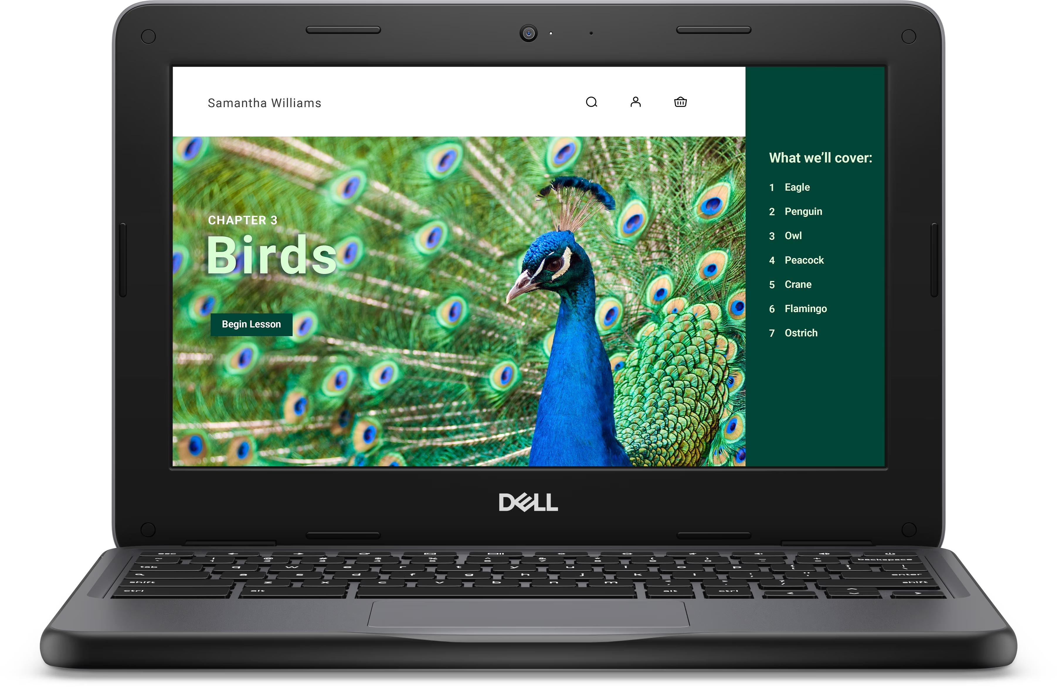 デル、教育現場での利用に適したIntel N100搭載11型2in1 Chromebook - ITmedia PC USER